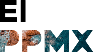 El PPMX - PPMX